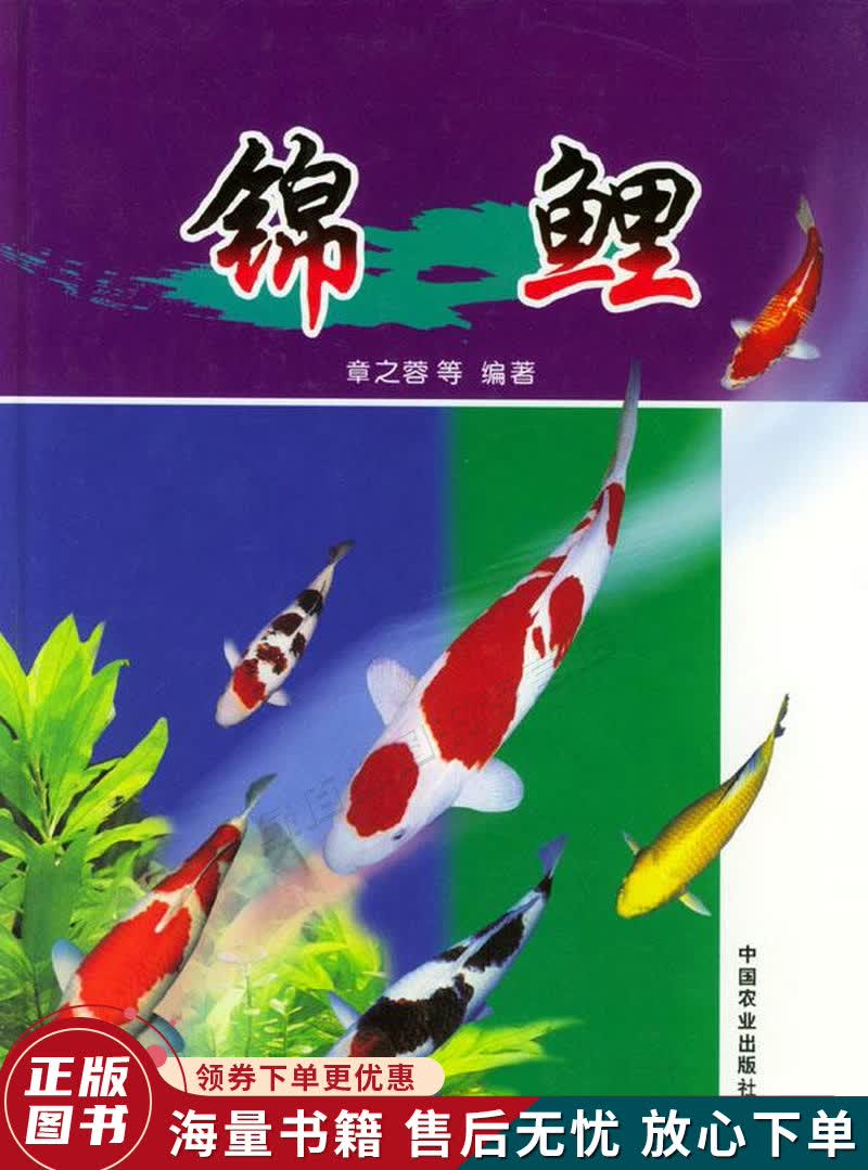 锦鲤