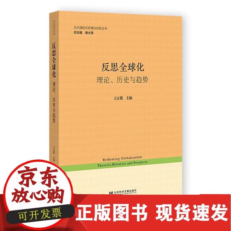 C 书籍 反思化理论历史与趋势 北大关系理论创新丛书 王正毅唐士其编 政治经济研究区域化理论实践中国的