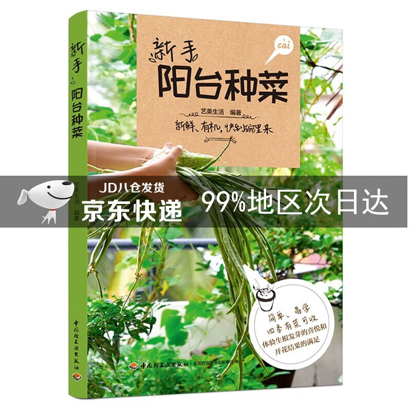 新手阳台种菜