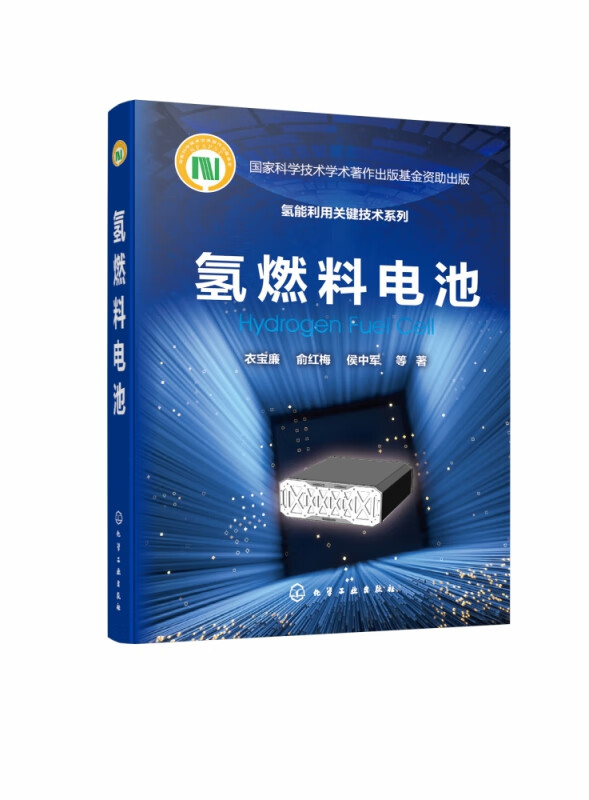 氢燃料电池(精)/氢能利用关键技术系列