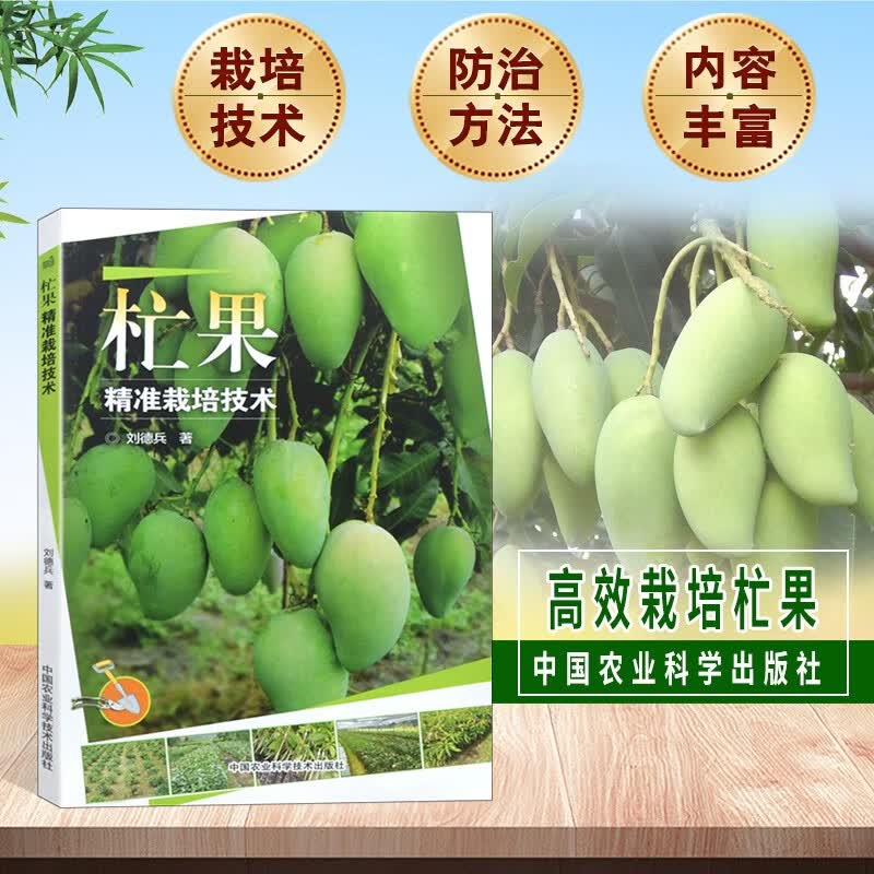 杧果精准栽培技术 刘德兵 芒果高效栽培种植技术大全书籍 种植芒果的书籍 种植芒果树病虫害防治技术大全 果园果树管理书籍