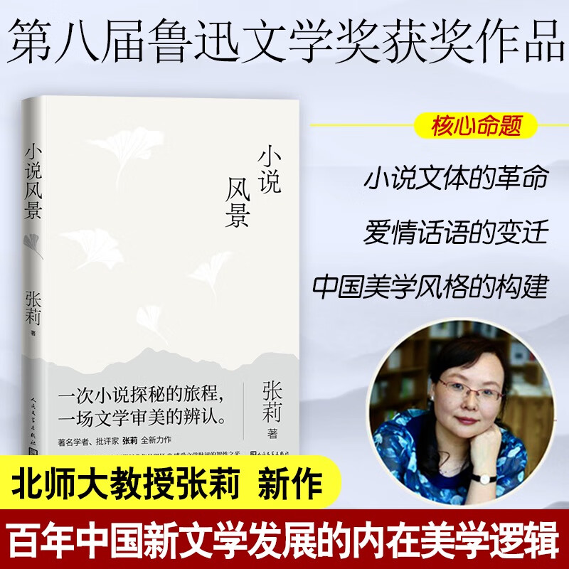 小说风景 张莉 书籍