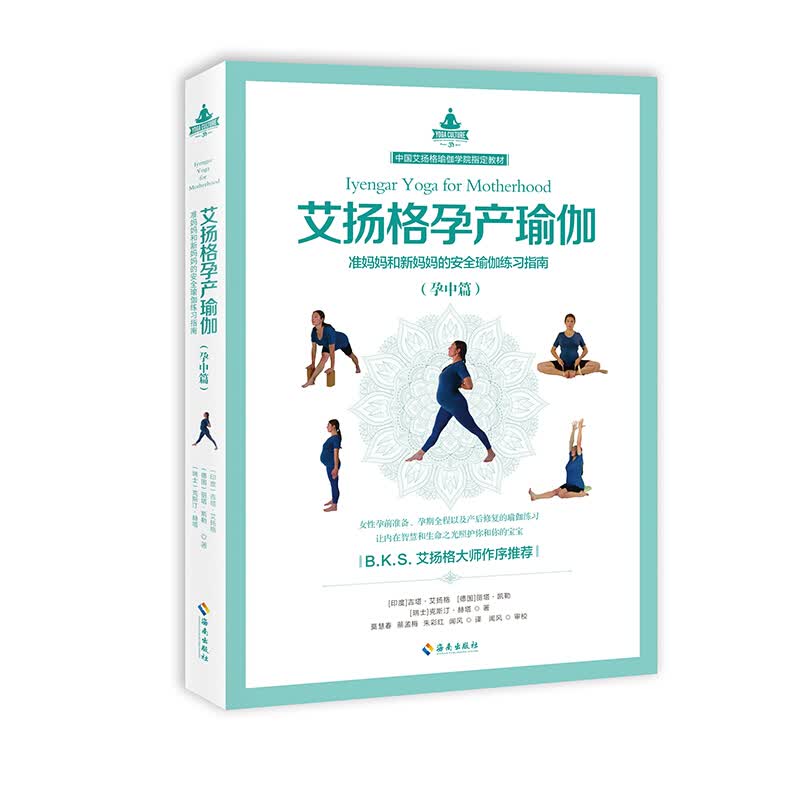 艾扬格孕产瑜伽.孕中篇孕中篇