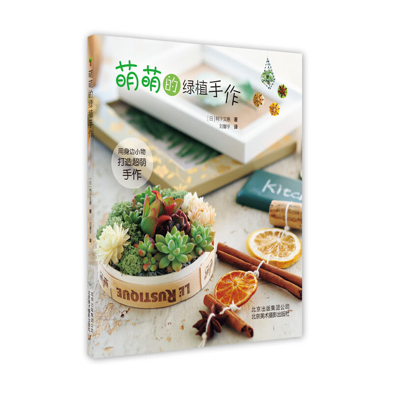 萌萌的绿植手作