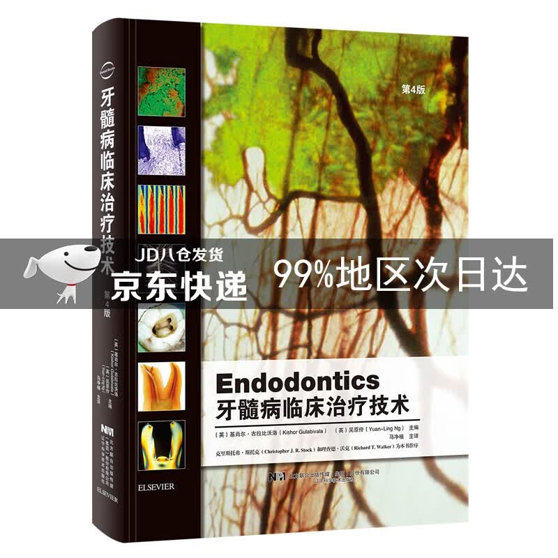 牙髓病临床治疗技术（第4版）