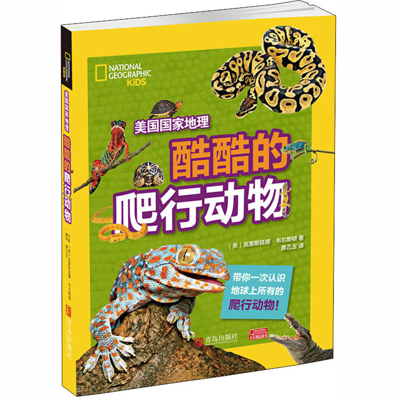 酷酷的爬行动物