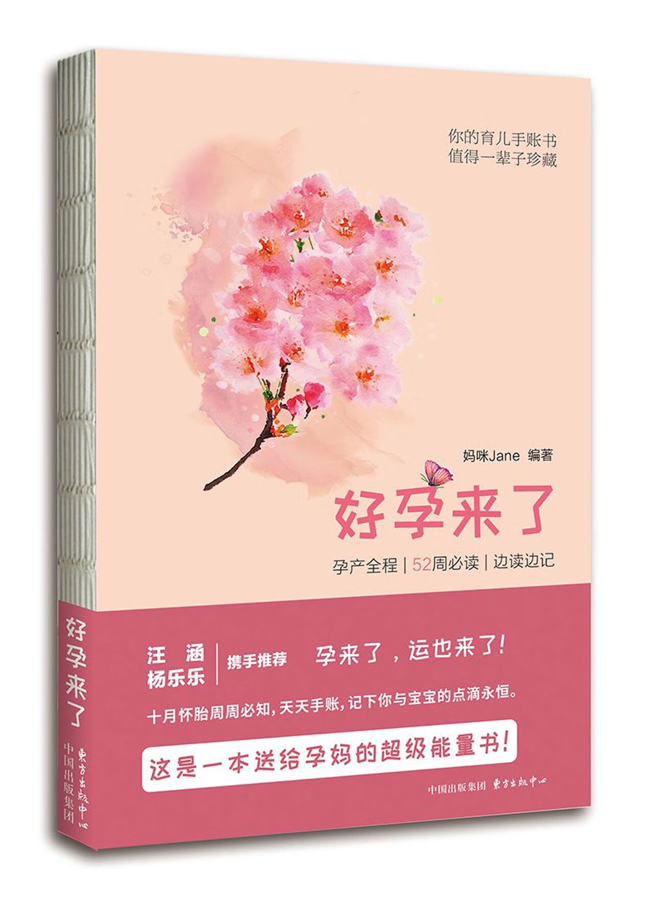 现货 好孕来了(孕产全程52周必读边读边记) 编者:妈咪Jane|绘画:瓶盖 东方出版中心