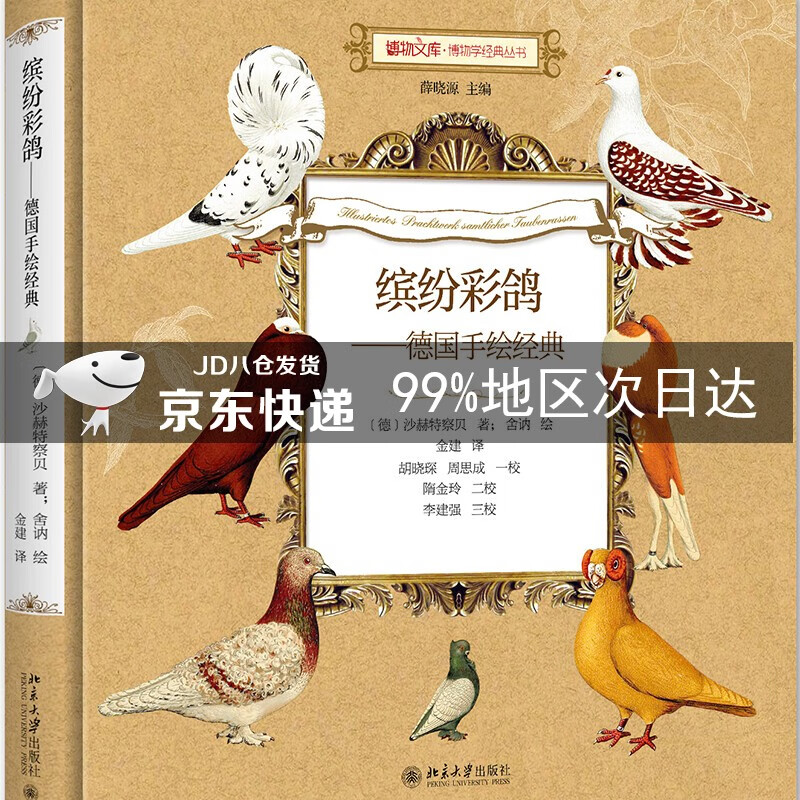 缤纷彩鸽 德国手绘经典