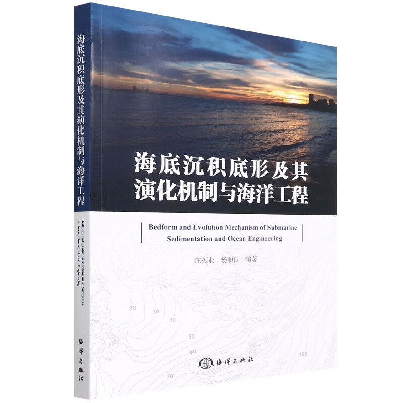 海底沉积底形及其演化机制与海洋工程
