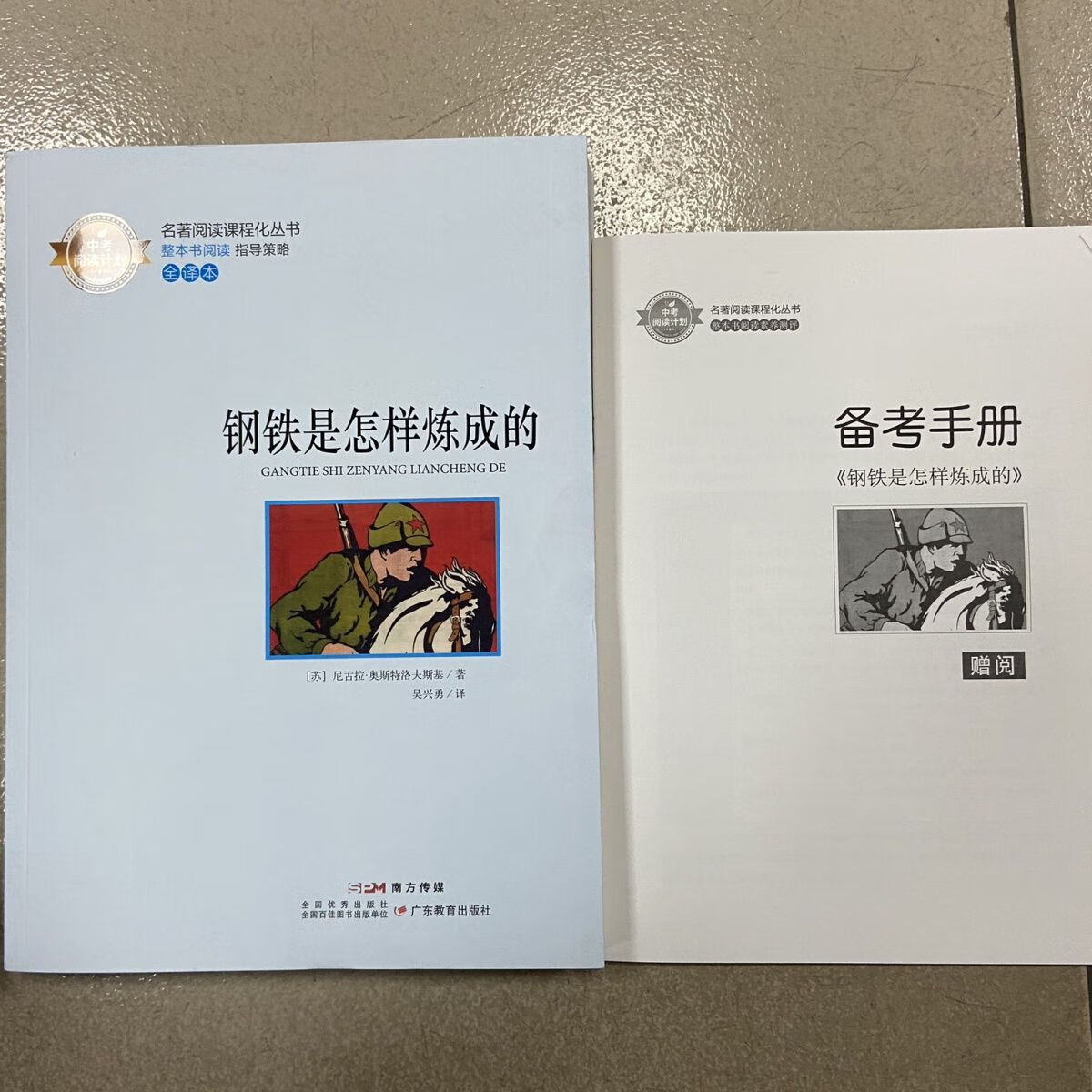 计划全本名著画丛书骆驼祥子海底两万里钢铁是怎 儒林外史