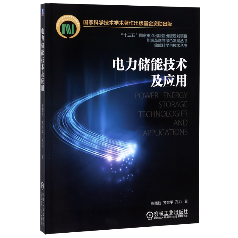 电力储能技术及应用/储能科学与技术丛书