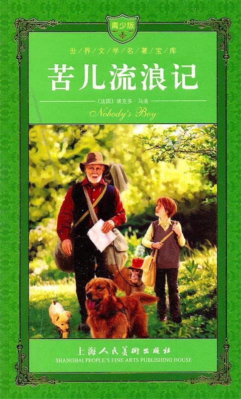 苦儿流浪记【书籍，畅读优品】