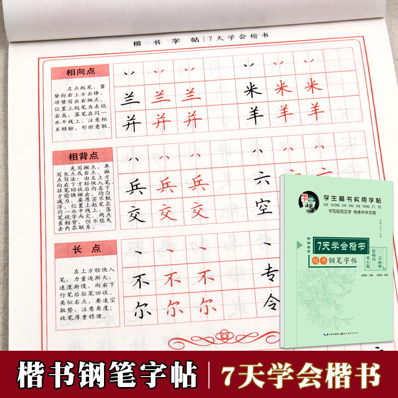 7天学会楷书 田英章楷书字帖 钢笔字帖 初学者书法速成练习本 学生正楷字 字帖钢笔入门 初学者技