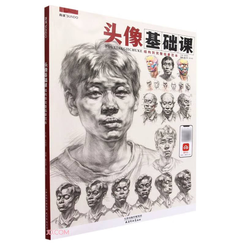 头像基础课(结构到完整临摹范本)