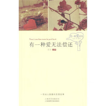 有一种爱无法偿还【好书，下单速发】