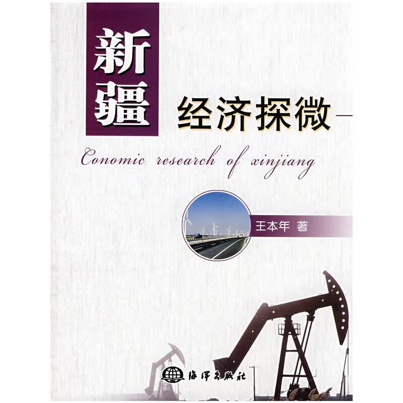 新疆经济探微【好书】