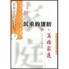 沉重的翅膀--再婚家庭