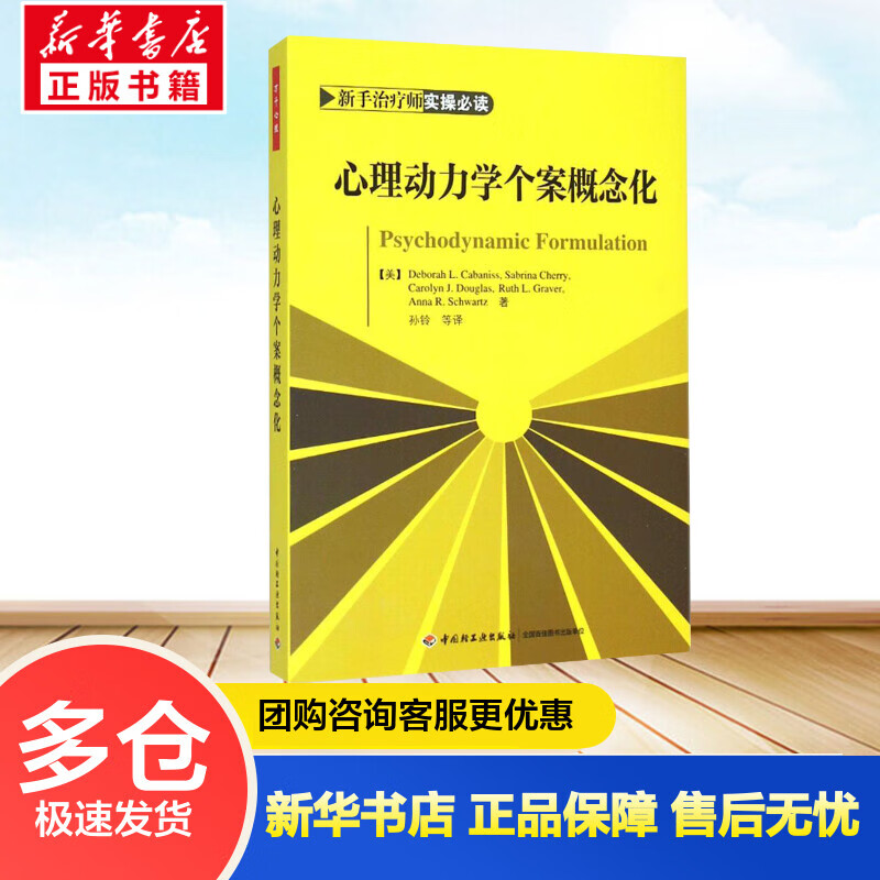 心理动力学个案概念化 (美)卡巴尼斯(Deborah L.Cabaniss) 等 ;孙玲 等 译 书籍
