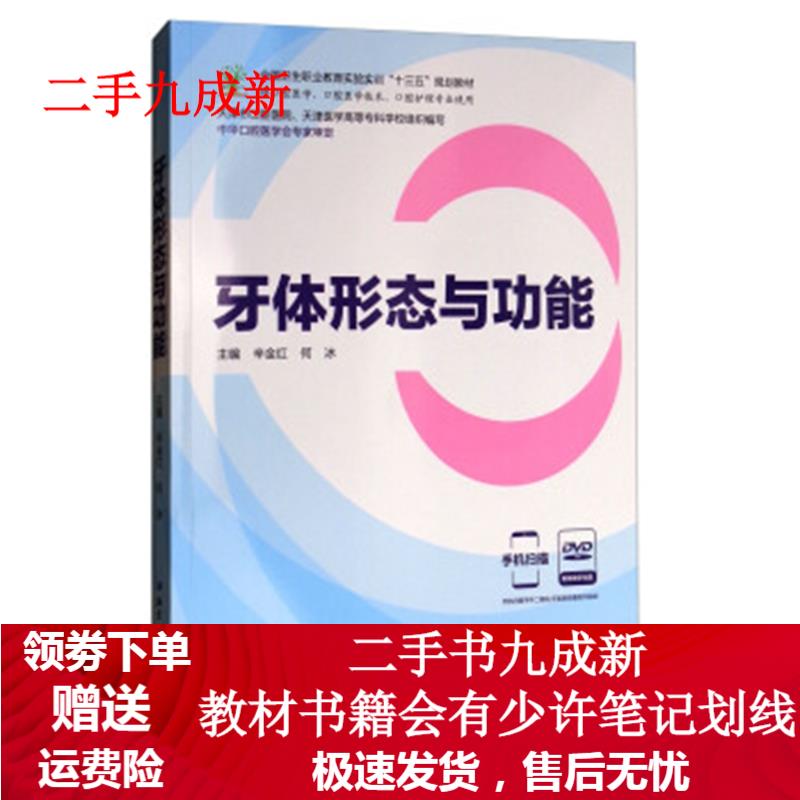 牙体形态与功能