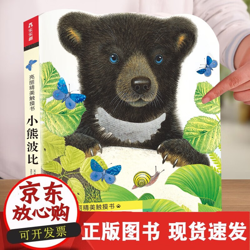 C 网童书 亮丽精美触摸书 小熊波比