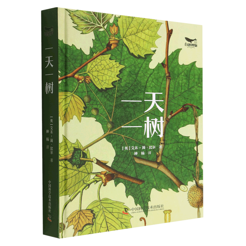 一天一树(精)