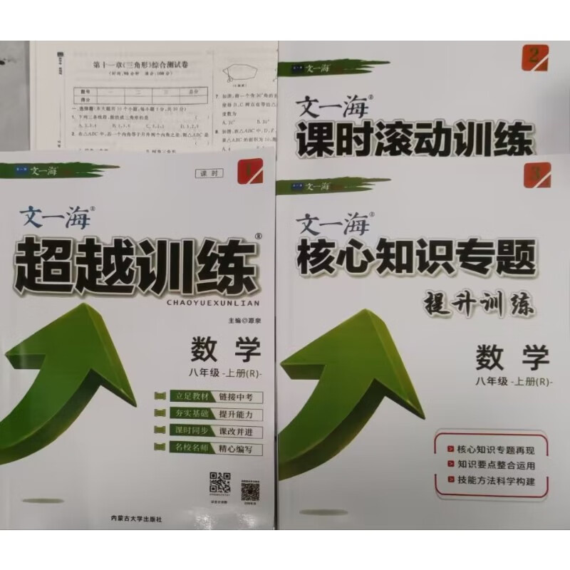 22秋超越训练八年级数学上册R（电子答案）