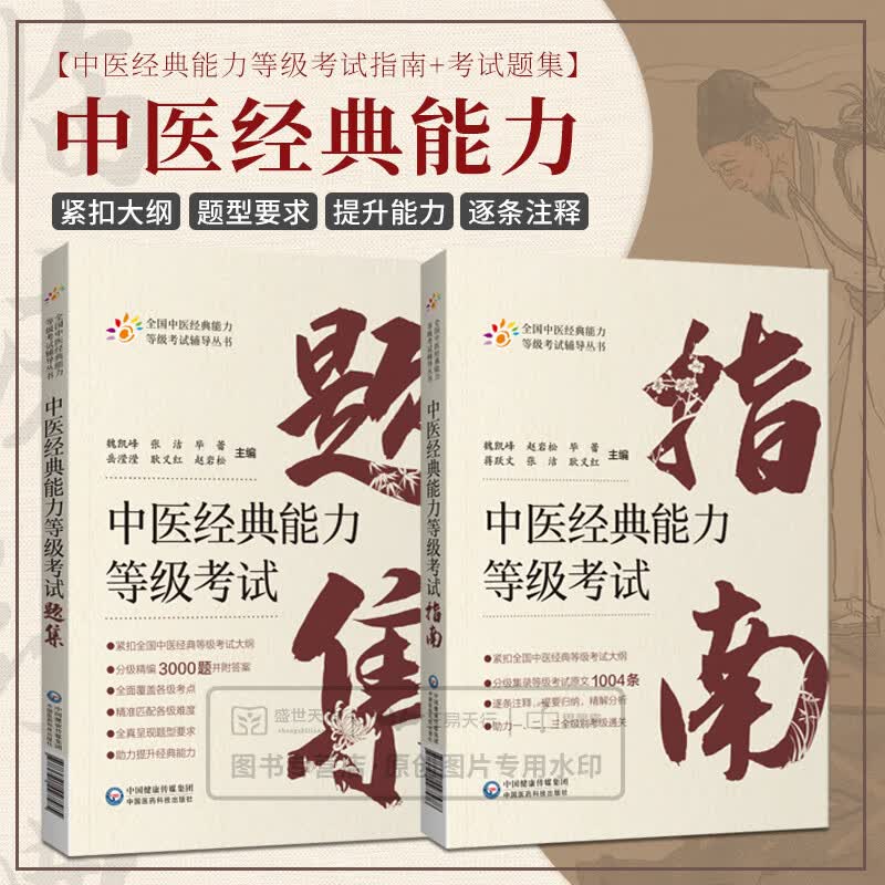 中医经典能力等级考试指南+题集 魏凯峰 张洁 毕蕾 岳滢滢 耿义红 赵岩松 蒋跃文 全国四大经典中医学试题3000题+1004条原文