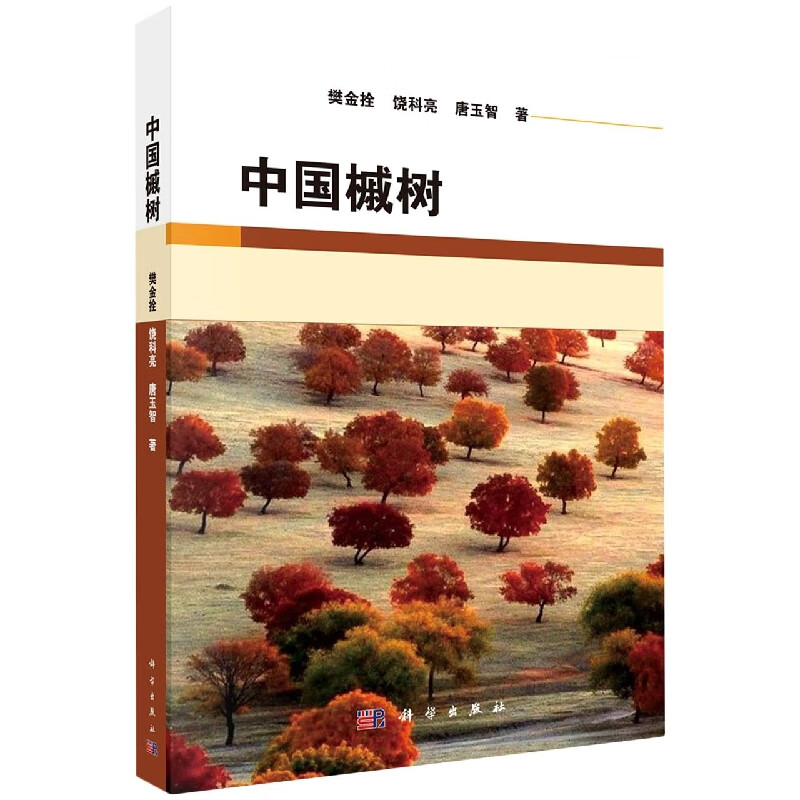 中国槭树