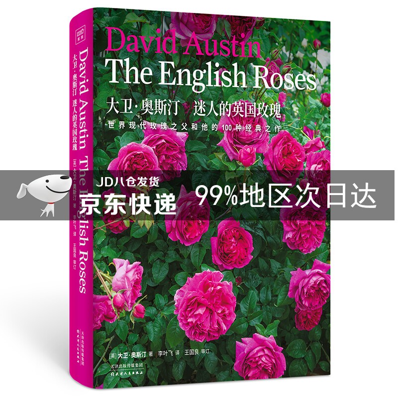 大卫·奥斯汀 迷人的英国玫瑰