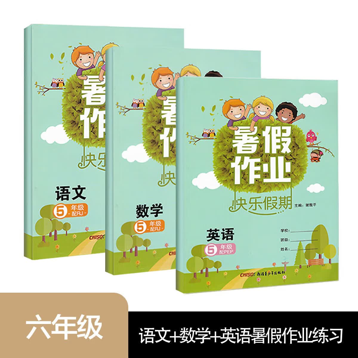 5年级语文数学英语练习册教材衔接同步 均码
