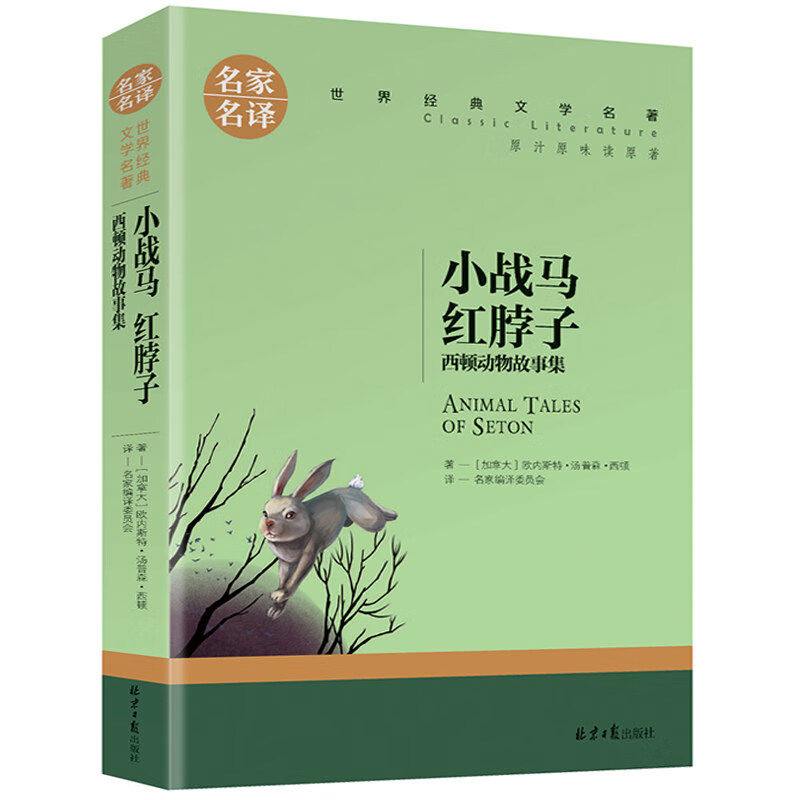 地心游记天方夜谭居里夫人传百万英镑安妮日记名家名译课外阅读少年维特之烦恼三个火枪手高老头巴尔扎克飘格 小战马 红脖子