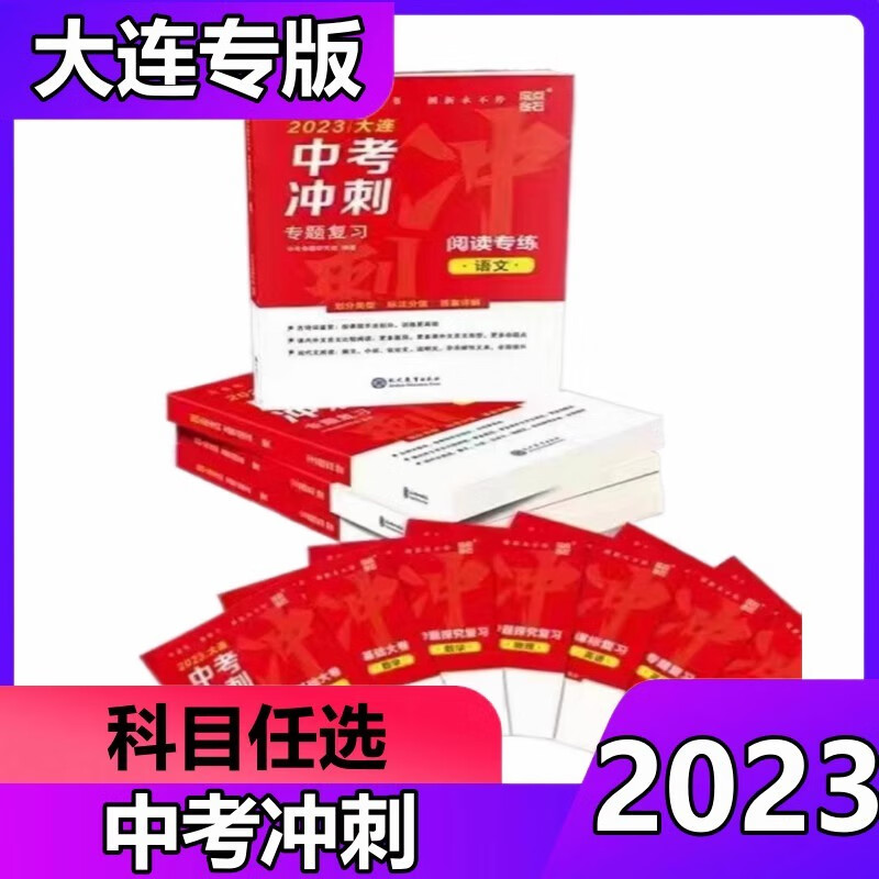 2023中考冲刺一轮二轮复习数学语文英语物理化学拨高压轴大连专版 语文-专题阅读专练