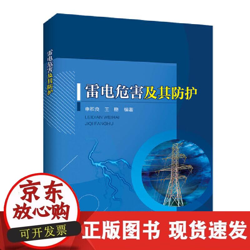 【现货】雷电危害及其防护