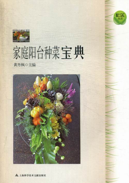 家庭阳台种菜宝典/家居/书籍