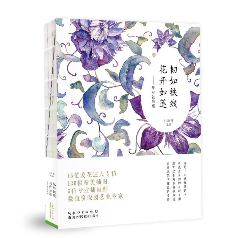 韧如铁线，花开如莲——缘起铁线莲