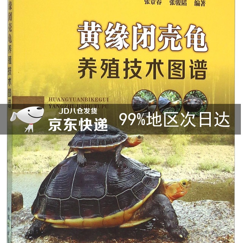 黄缘闭壳龟养殖技术图谱