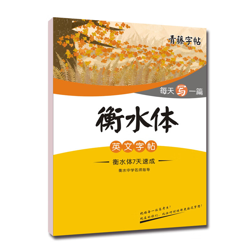 青藤衡水体英文字帖英语字帖初中生衡水中学高中生考研临摹练字贴 高中版正反80页