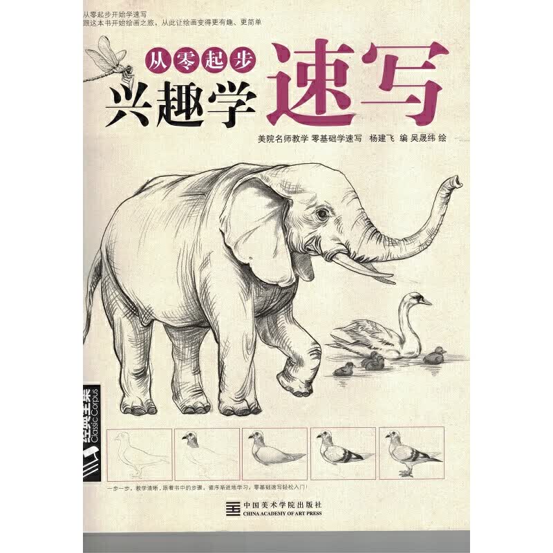当当兴趣学速写
