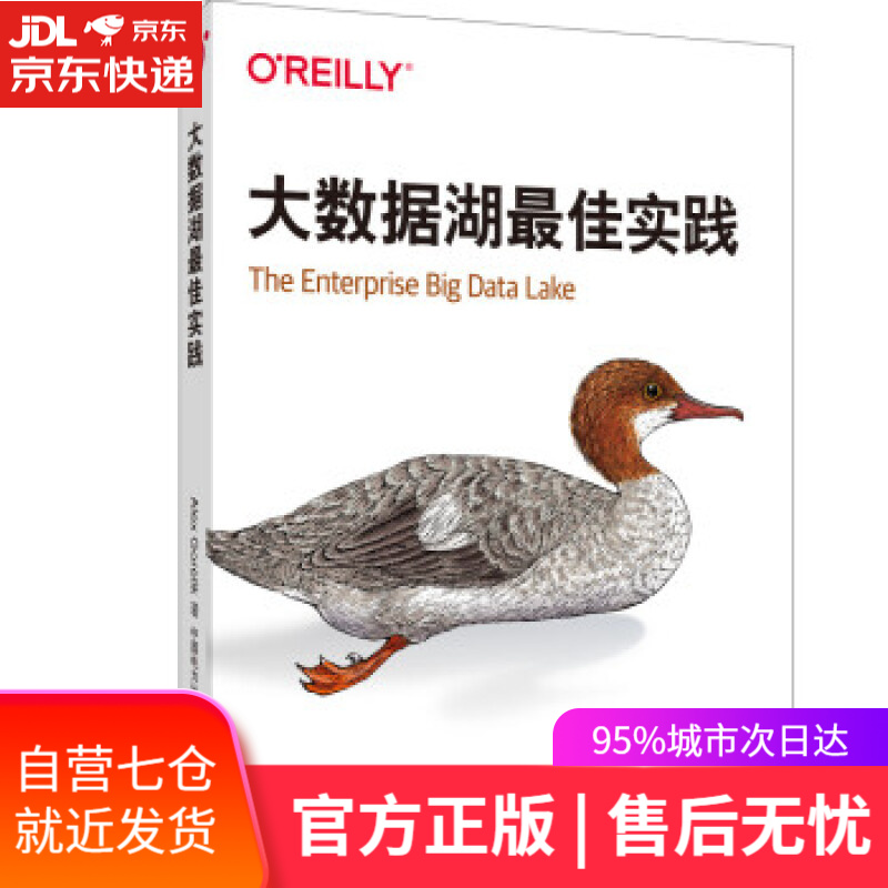 大数据湖佳实践 Alex,Gorelik 中国电力出版社