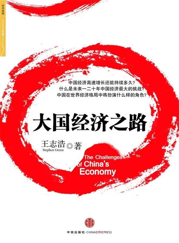 大国经济之路 王志浩