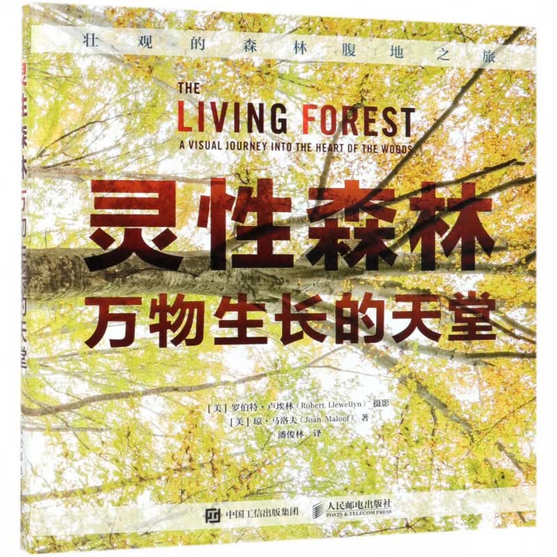 灵性森林(万物生长的天堂)
