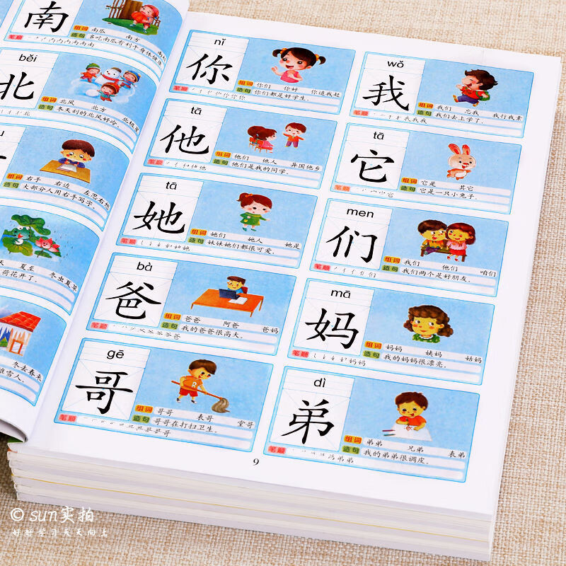 识字大全3000字幼儿园学前启蒙认字神器儿童看图入门识字大王书 识字大王起步篇750字
