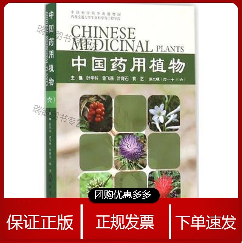 中国药用植物(6)