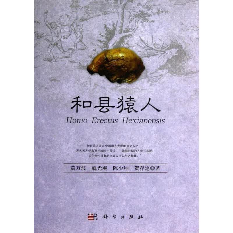 和县猿人