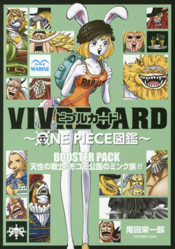 现货 进口日文 生命卡 角色卡 VIVRE CARDONE PIECE図鑑 BOOSTER