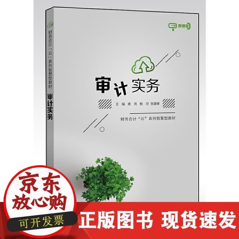 【现货】审计实务