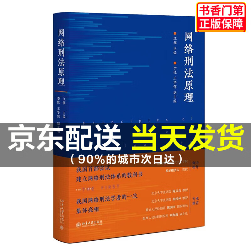 网络刑法原理