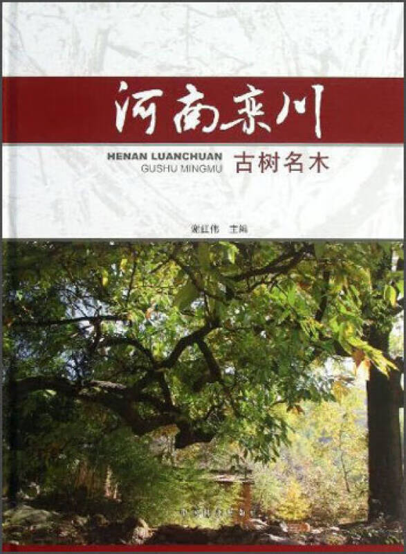 河南栾川古树名木【好书】