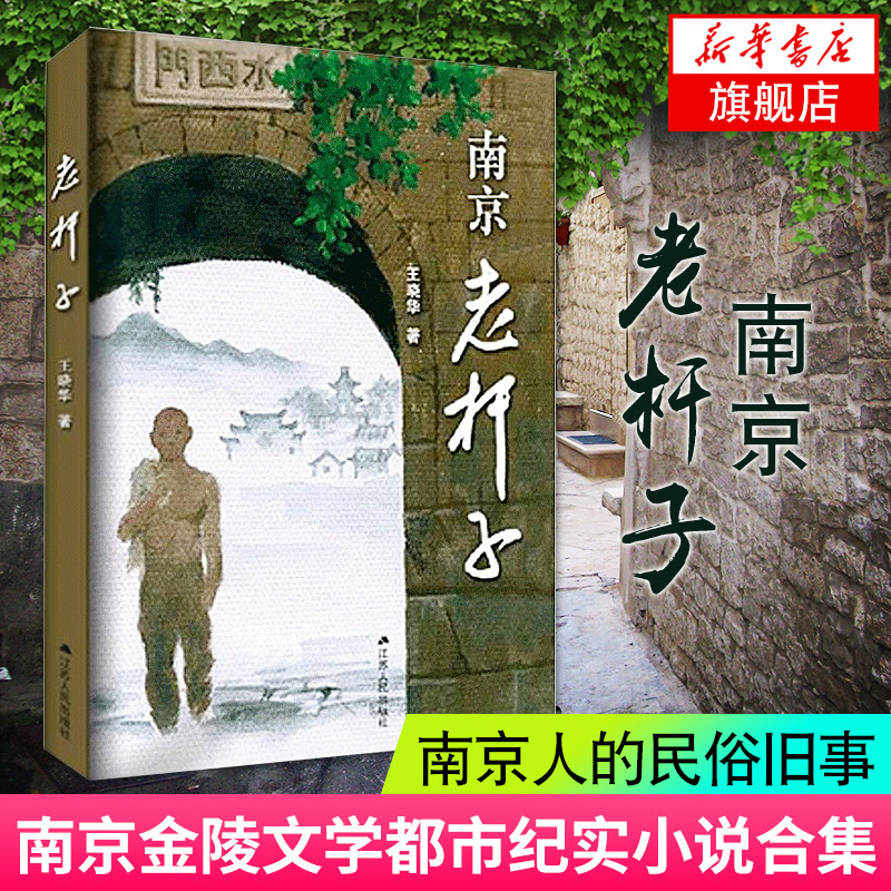 南京老杆子 王晓华 现当代文学小说南京金陵文学都市纪实小说合集排行榜 地道的南京人 南京方言