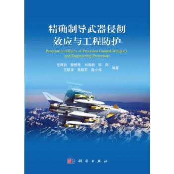 精确制导武器侵彻效应与工程防护 任辉启 等【书】